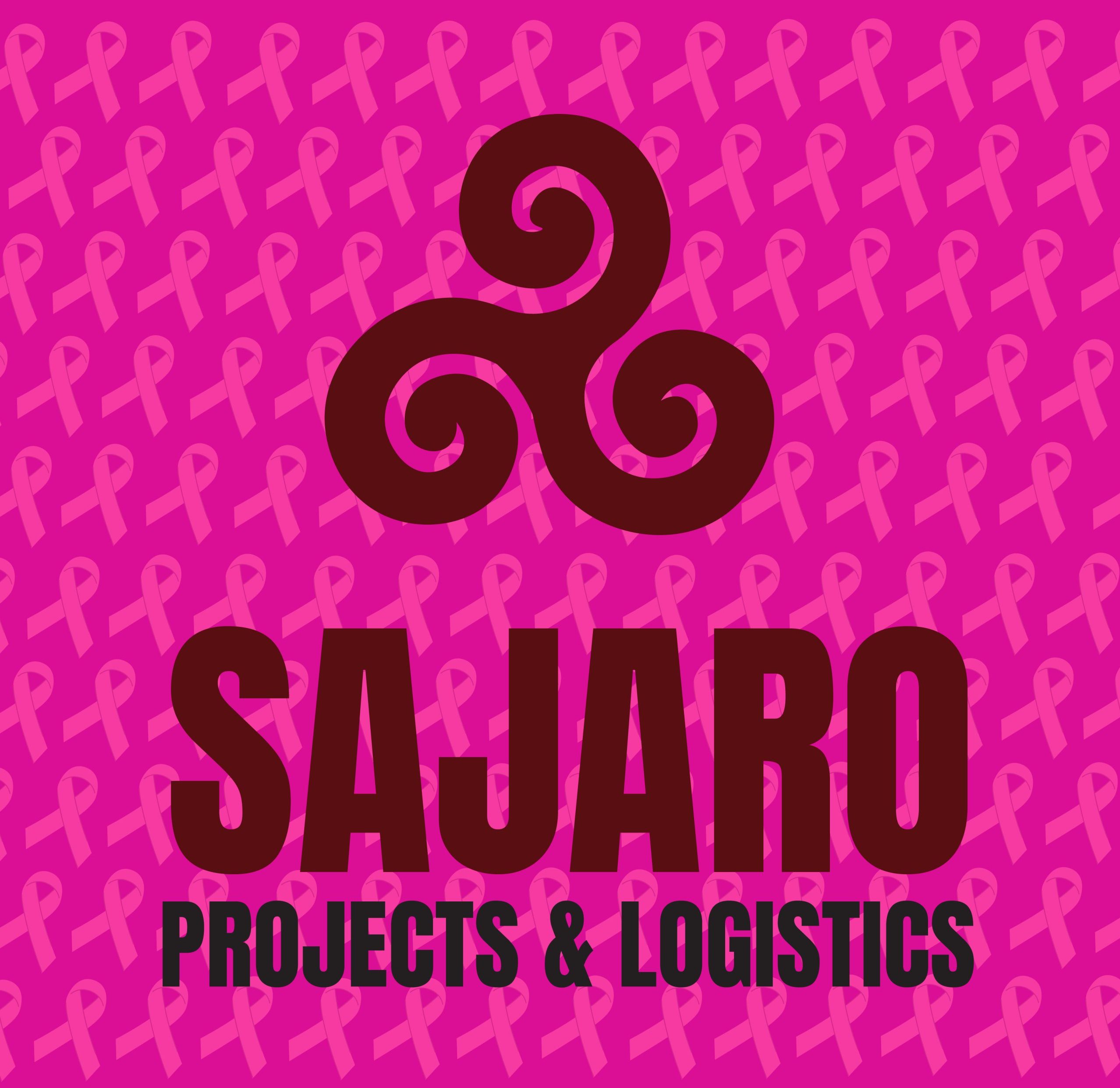 Sajaro Projects and Logistics - DELIVERING EXCELLENCE ON EVERY ROAD